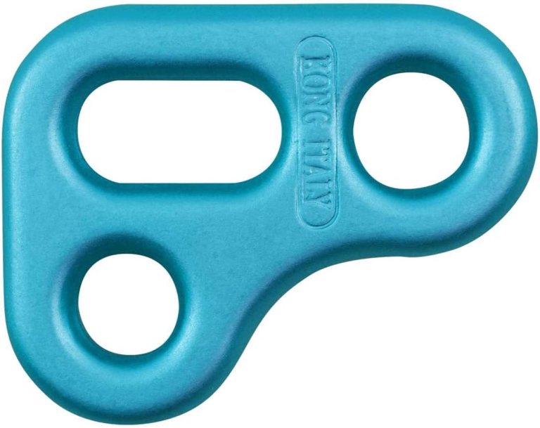 Best Personal Anchor Systems (PAS) For Sport Climbing – Gym to Crag