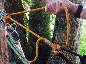 Best Personal Anchor Systems (PAS) For Sport Climbing – Gym to Crag